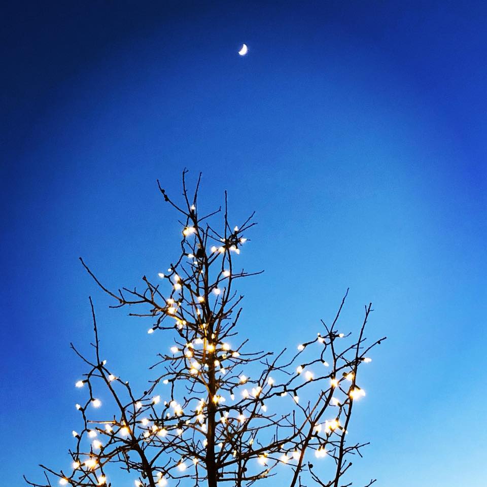 Winter Solstice – Libby Lane Creative